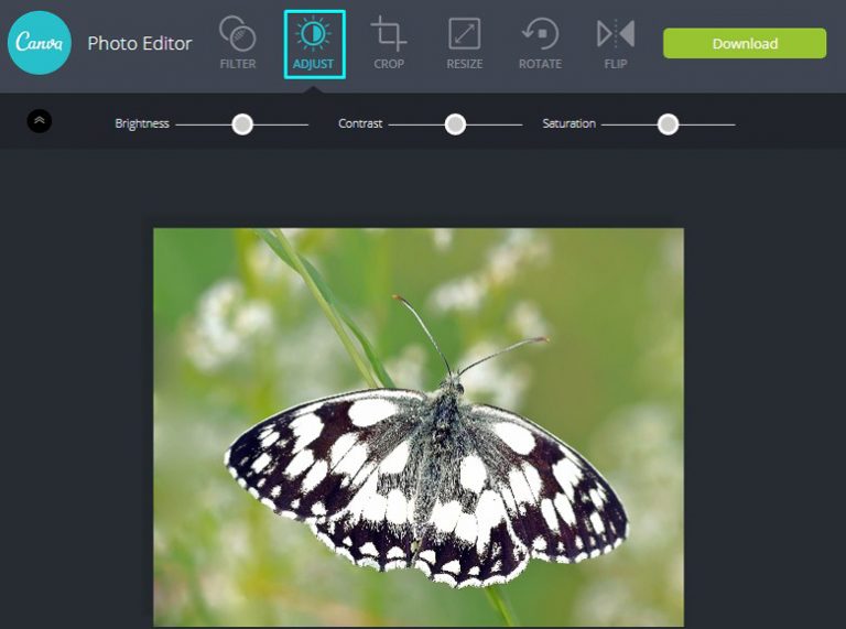My Take on Canva Photo Editor | ImageEditing