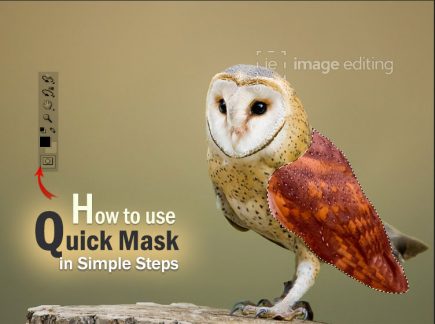 How to Use the Quick Mask Mode in Photoshop | ImageEditing
