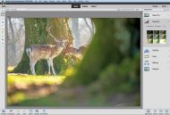 Get terrific tones in Photoshop Elements | ImageEditing